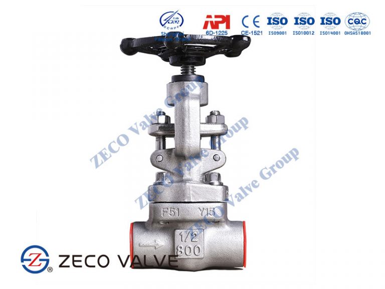 SW Globe Valve - ZECO Valve