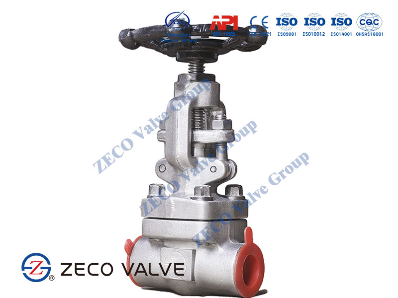 SW Globe Valve - ZECO Valve