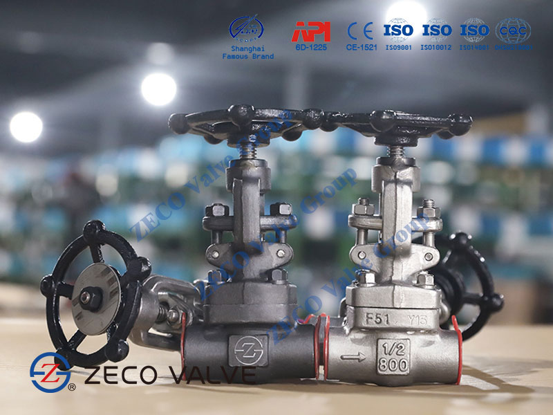 SW Globe Valve - ZECO Valve